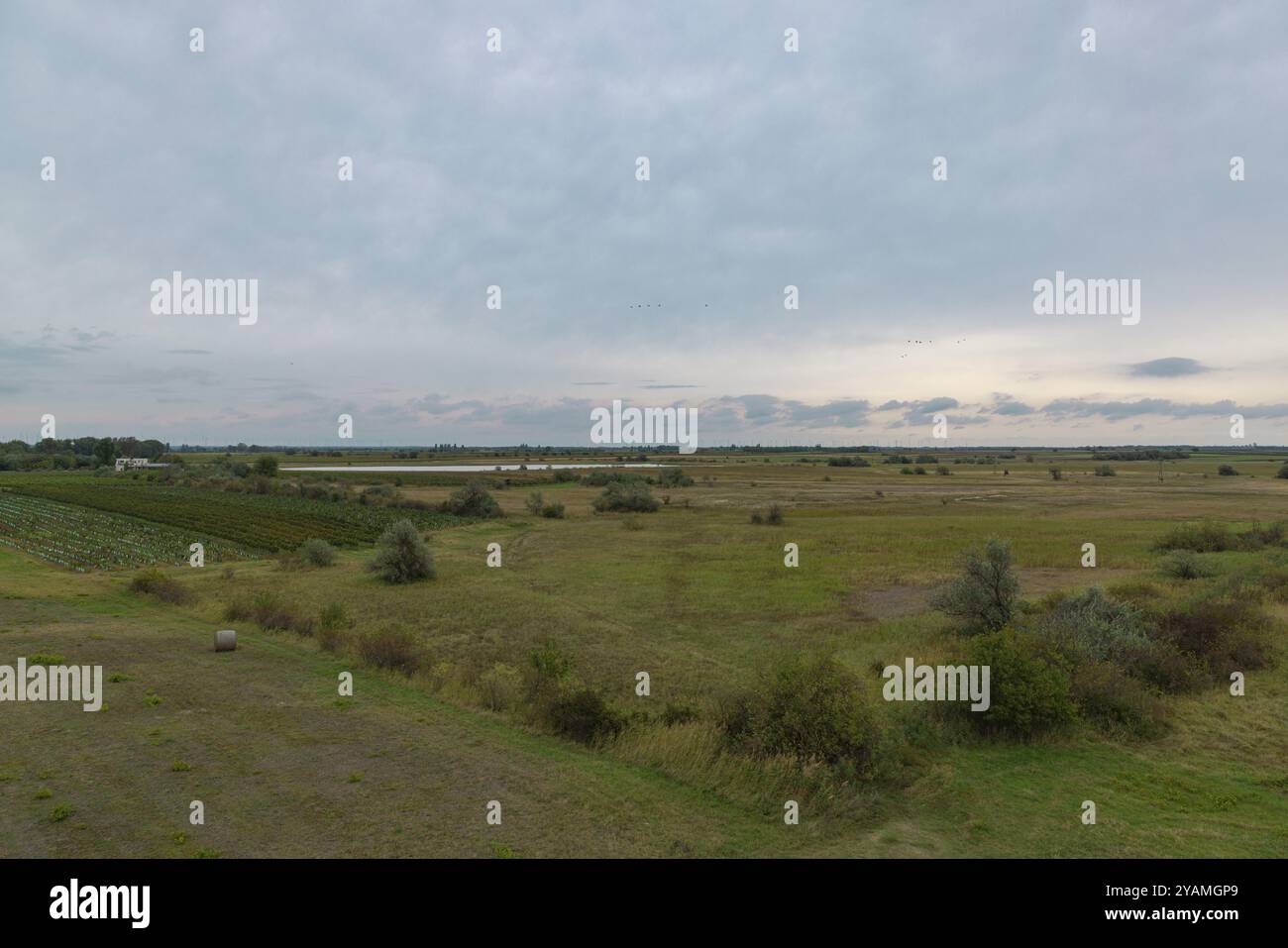 Flat land fields bushes hi-res stock photography and images - Alamy