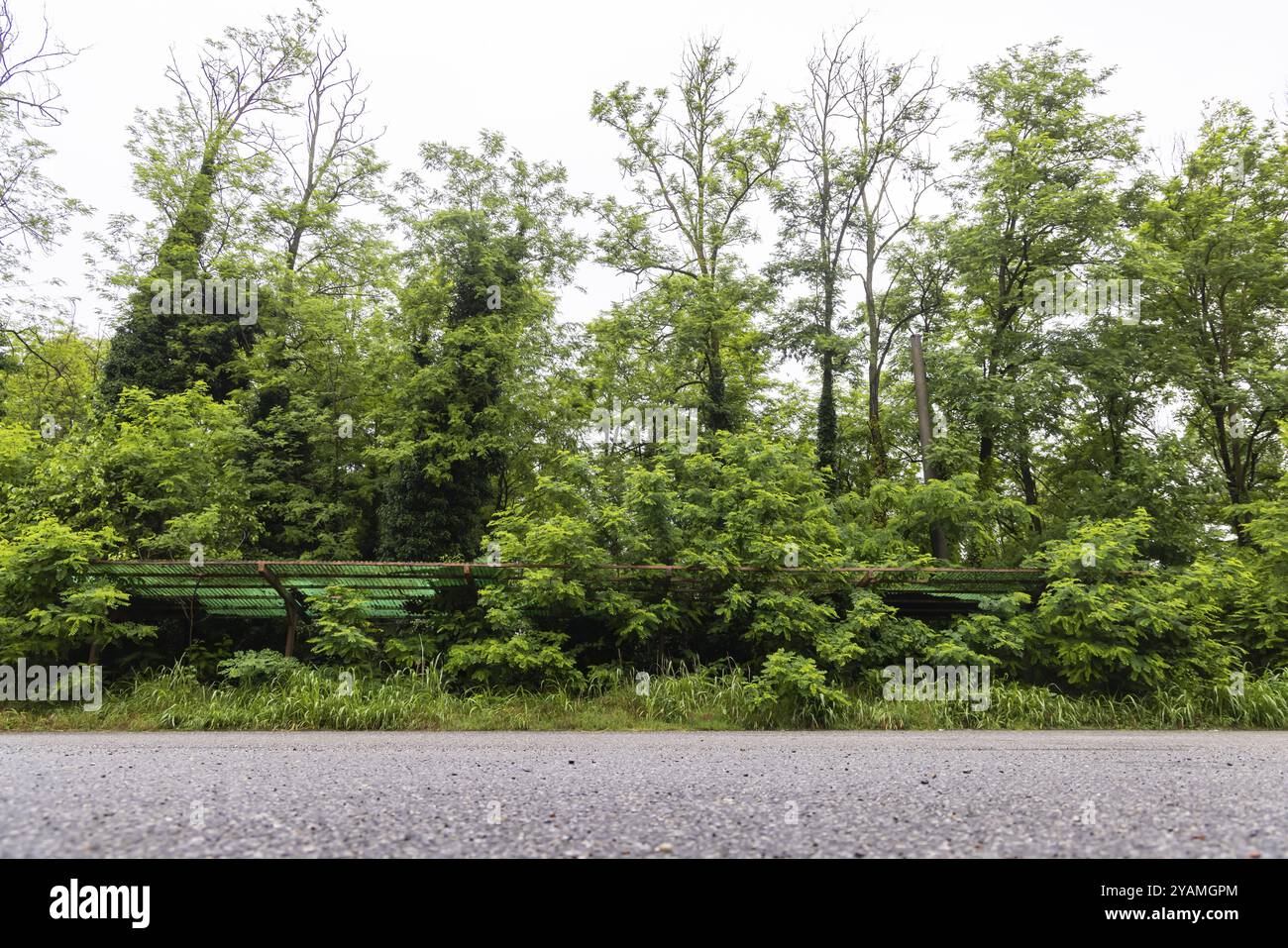 Ingrown railway station hi-res stock photography and images - Alamy