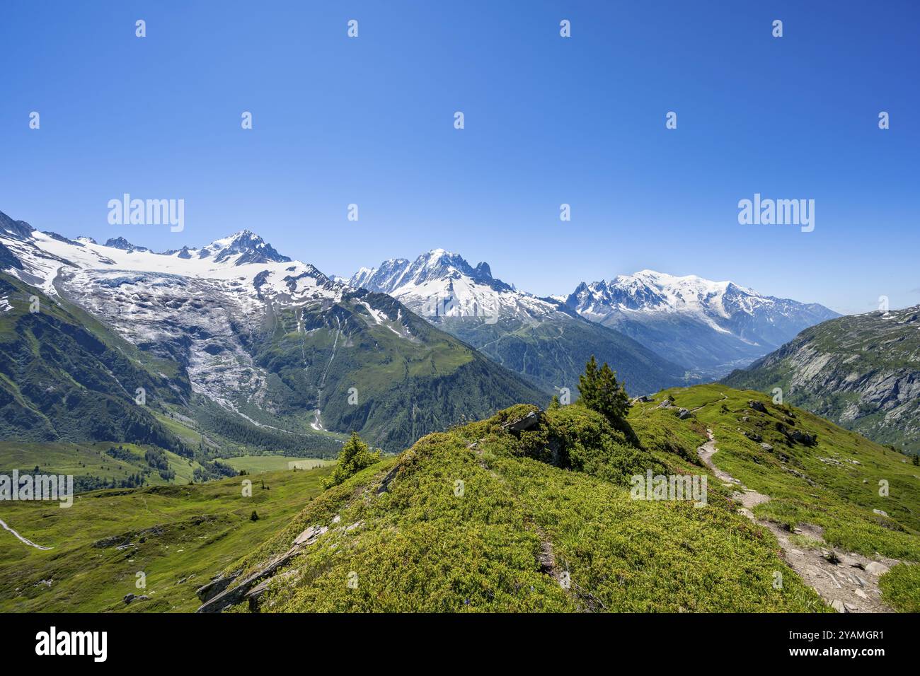 Mountain panorama with glaciated mountain peaks, Aiguille Verte with ...