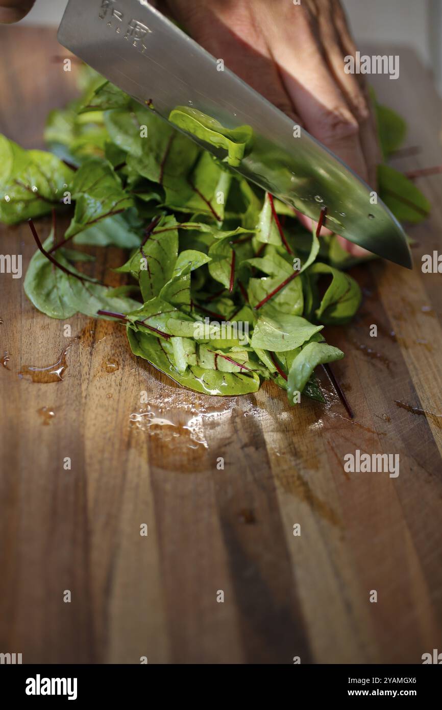 Southern German cuisine, preparation of sorrel soup with char, blood ...