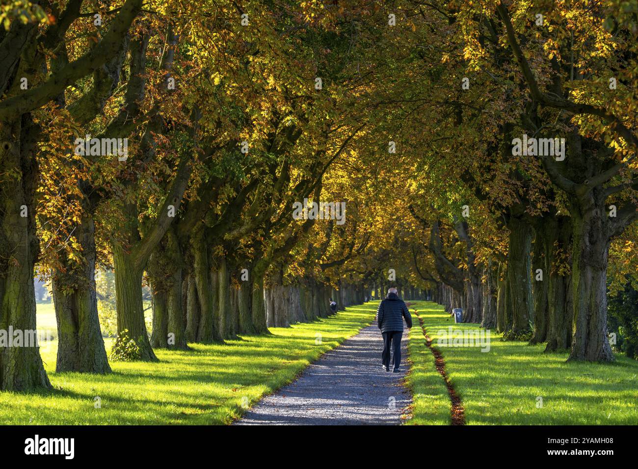 Dyke road avenue hi-res stock photography and images - Alamy