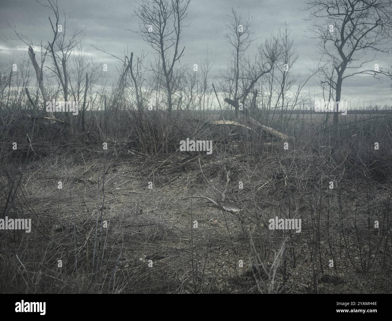 Battle scenery hi-res stock photography and images - Alamy