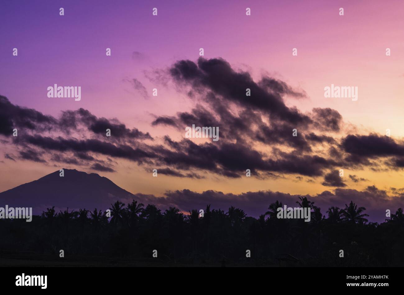 Amazing sunrise view on a jungle and volcano in Ubud, Bali, Indonesia ...