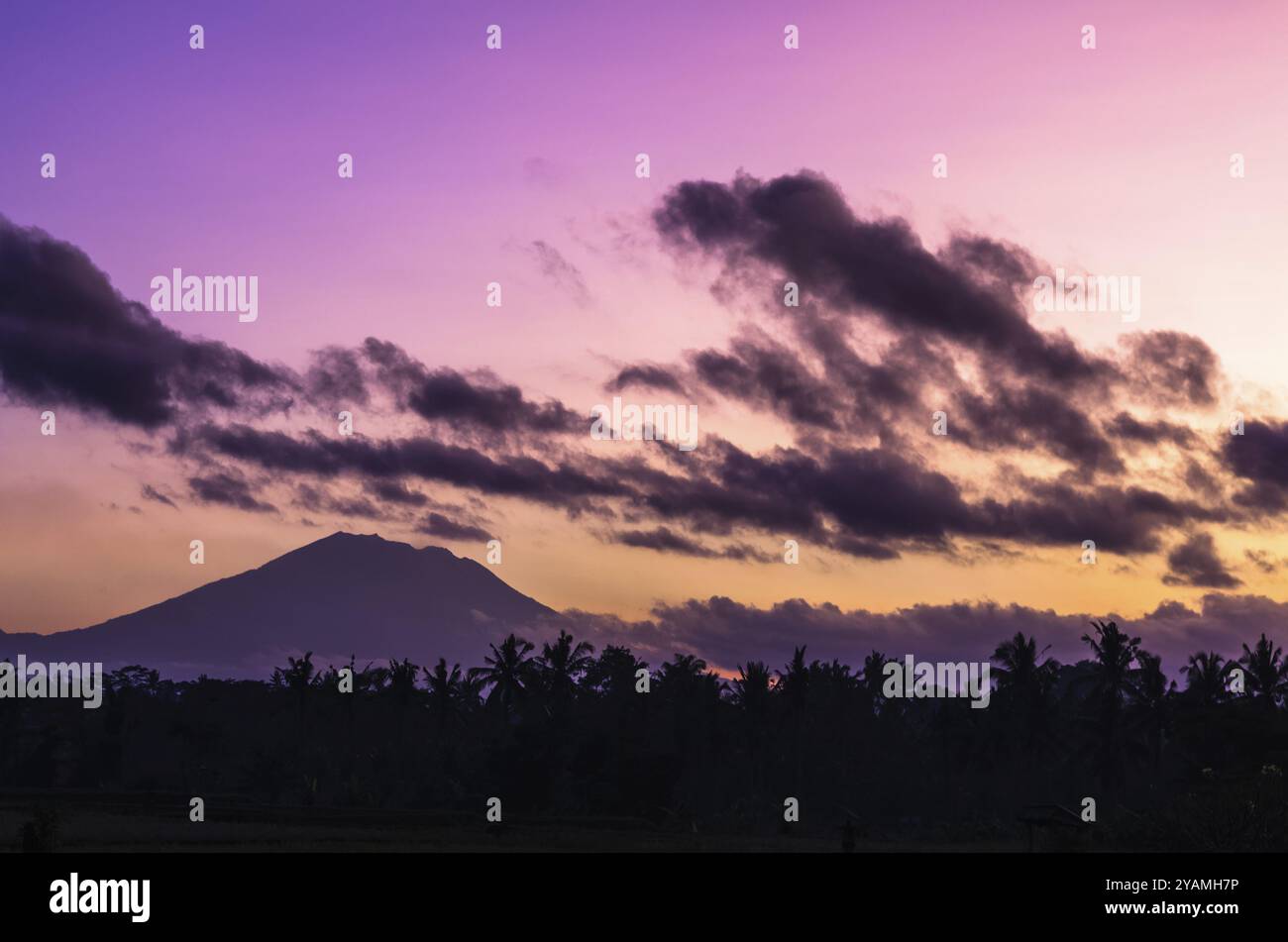 Amazing sunrise view on a jungle and volcano in Ubud, Bali, Indonesia ...