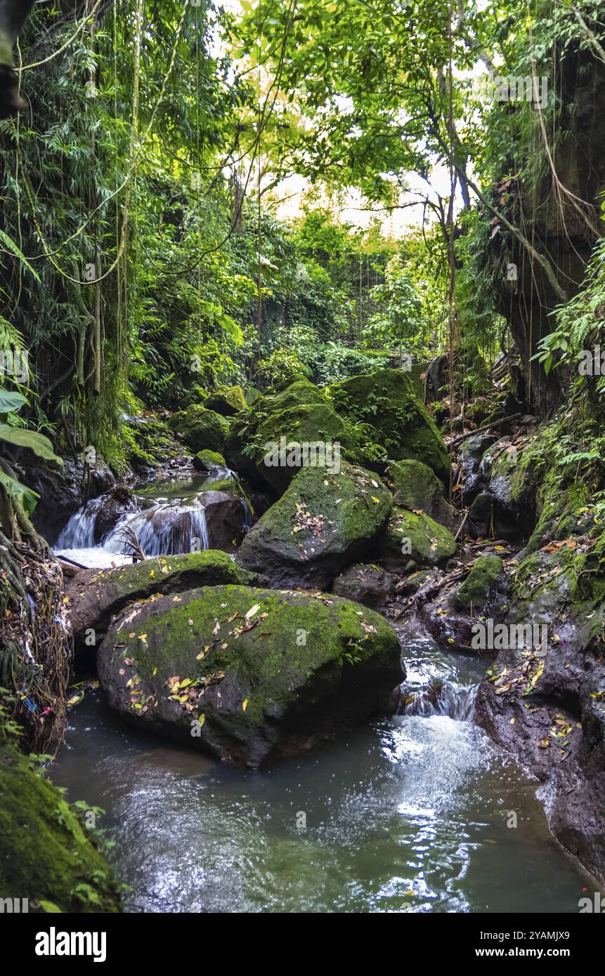 View on a mountain river and waterfall in Sacred Monkey forest in Ubud ...