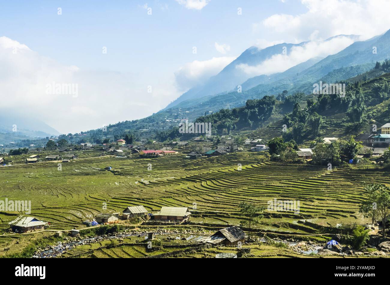 Amazing colorful view on rice terrace in Sapa village, Vietnam, Asia ...