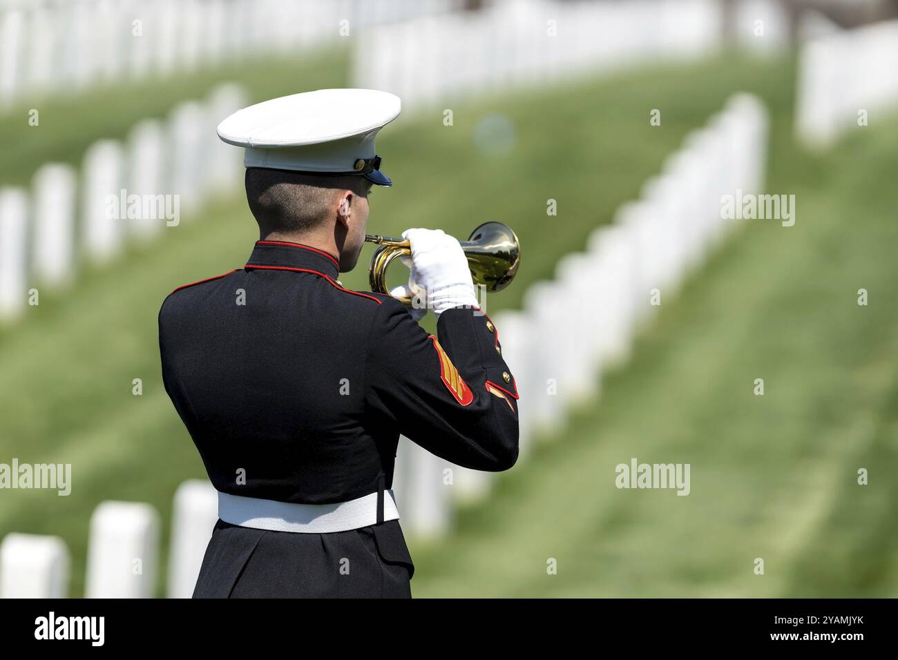A poignant moment unfolds as a Marine plays taps, honoring a fallen ...