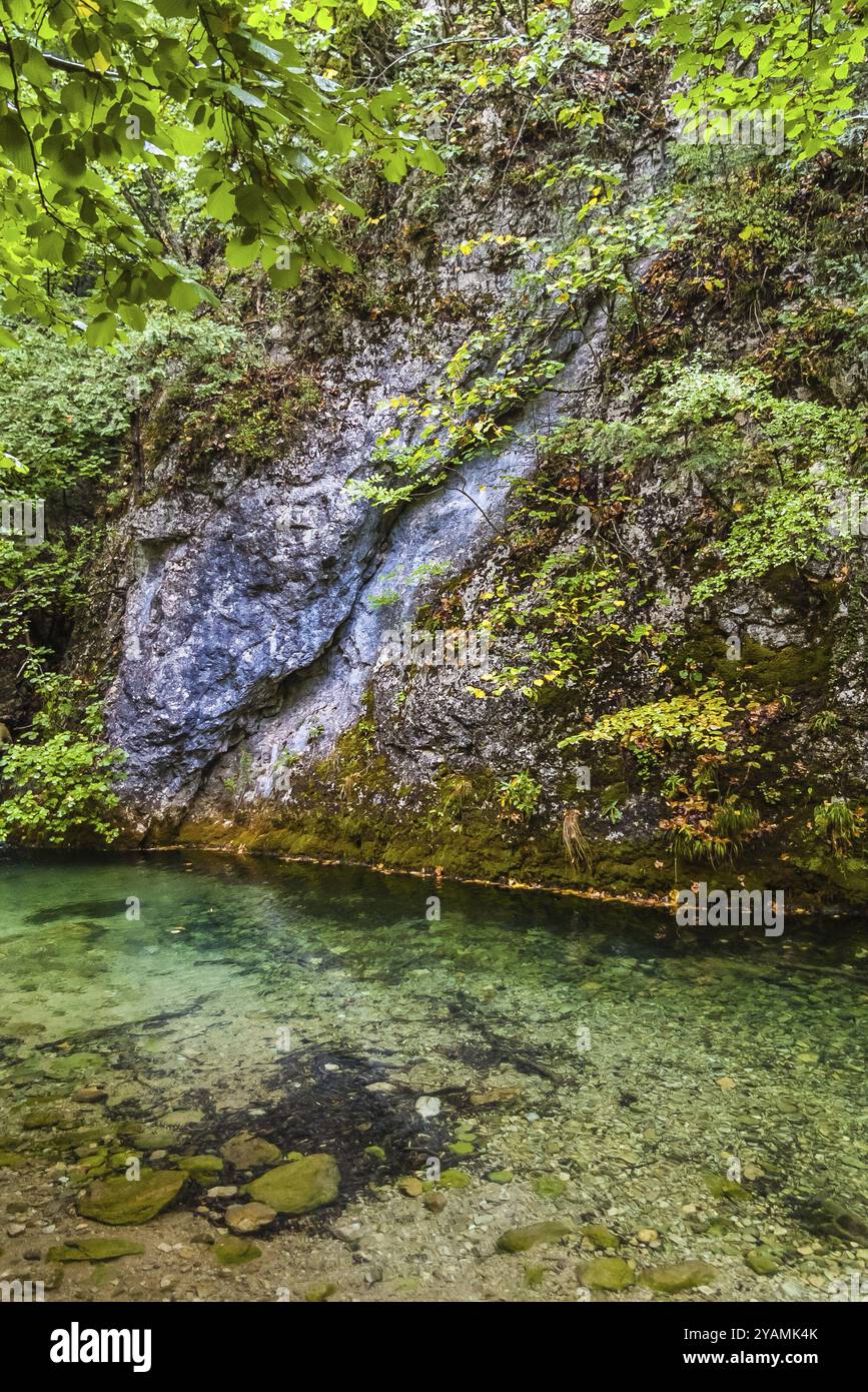 Mountain River in the Grand Canyon of Crimea, Ukraine, Europe Stock Photo - Alamy