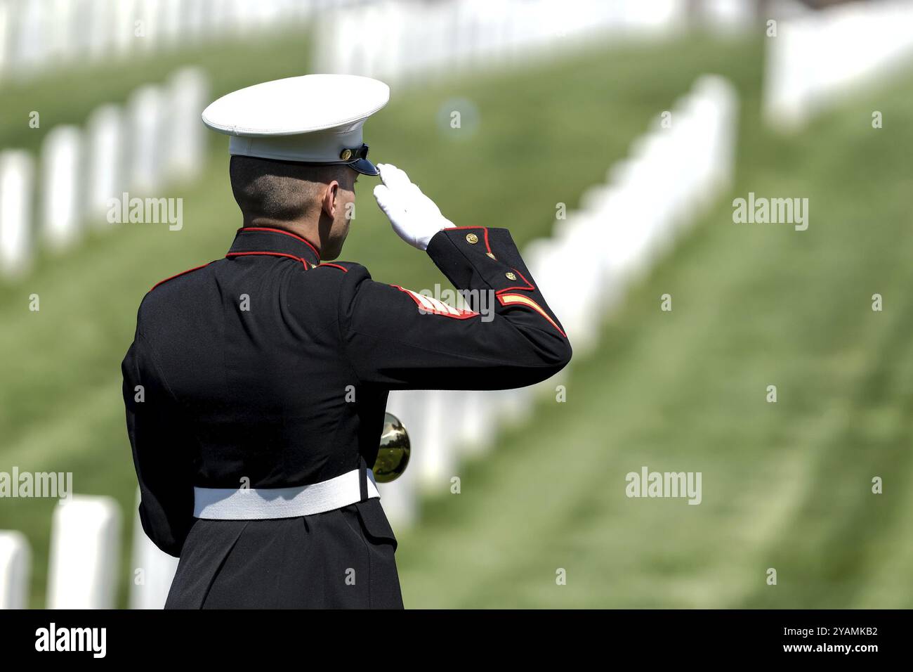 A poignant moment unfolds as a Marine plays taps, honoring a fallen ...