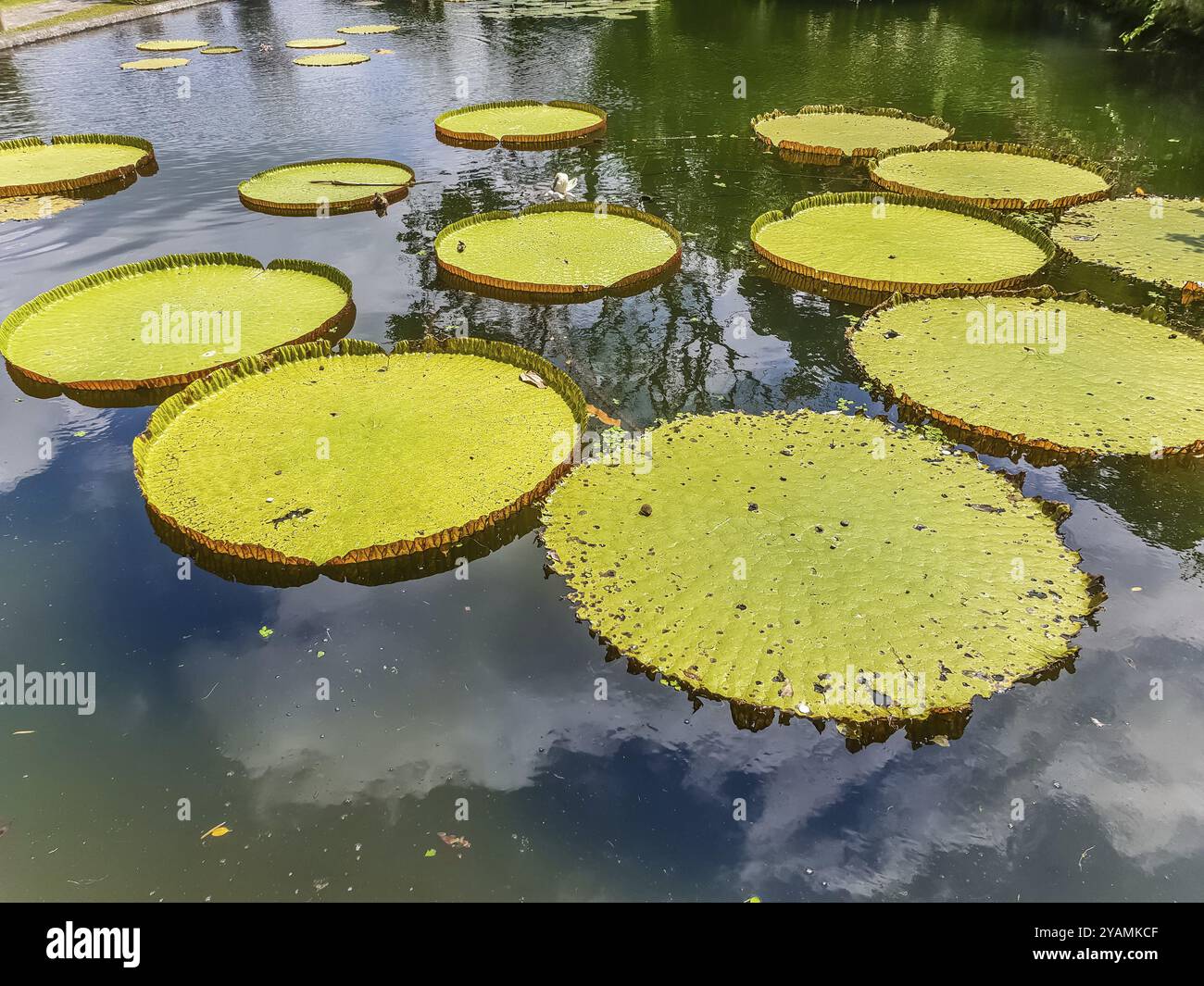 Reflecting pool construction hi-res stock photography and images - Alamy