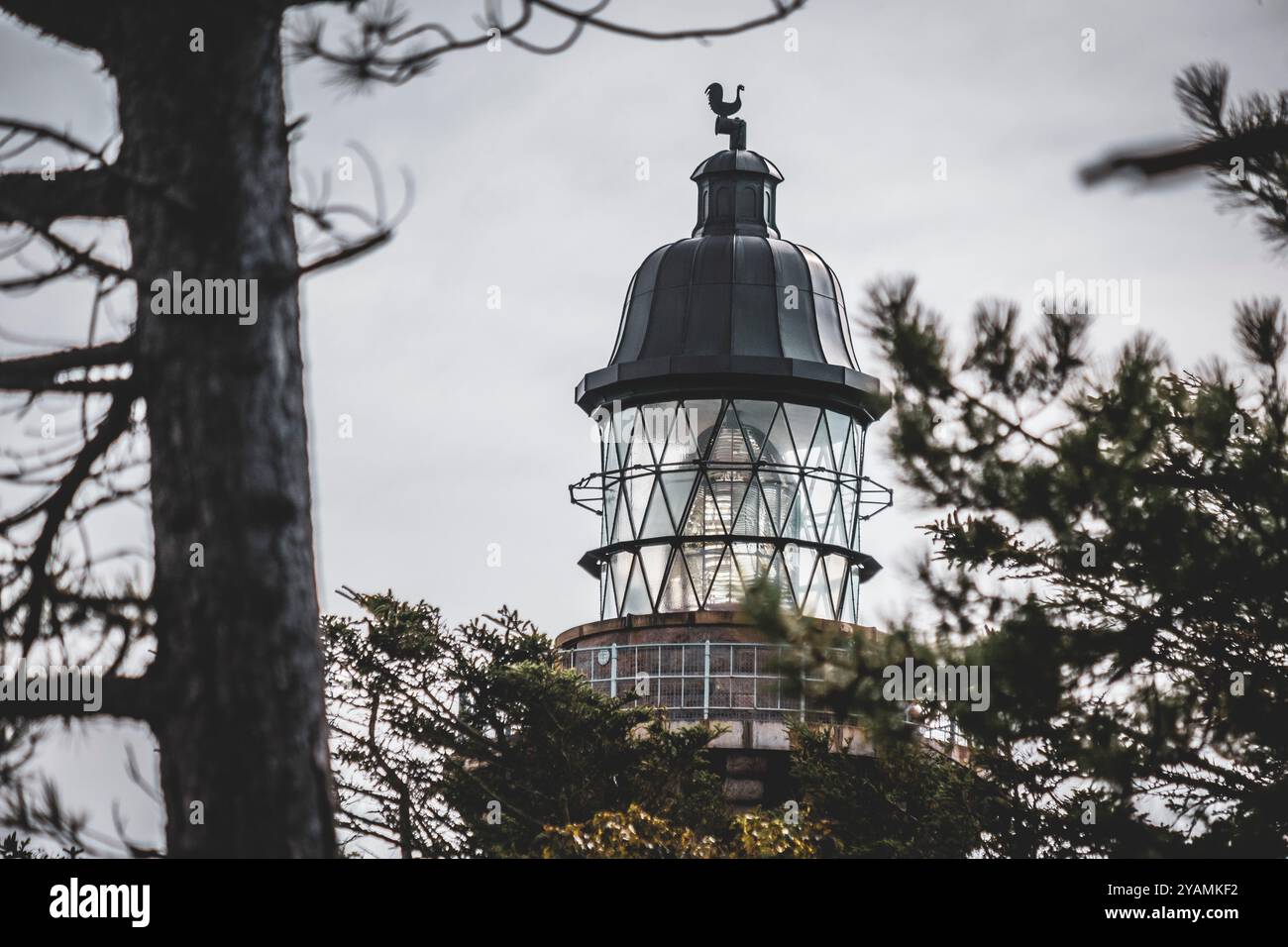 Lodbjerg Fyr (lighthouse) at Thy National Park in rural Jutland ...