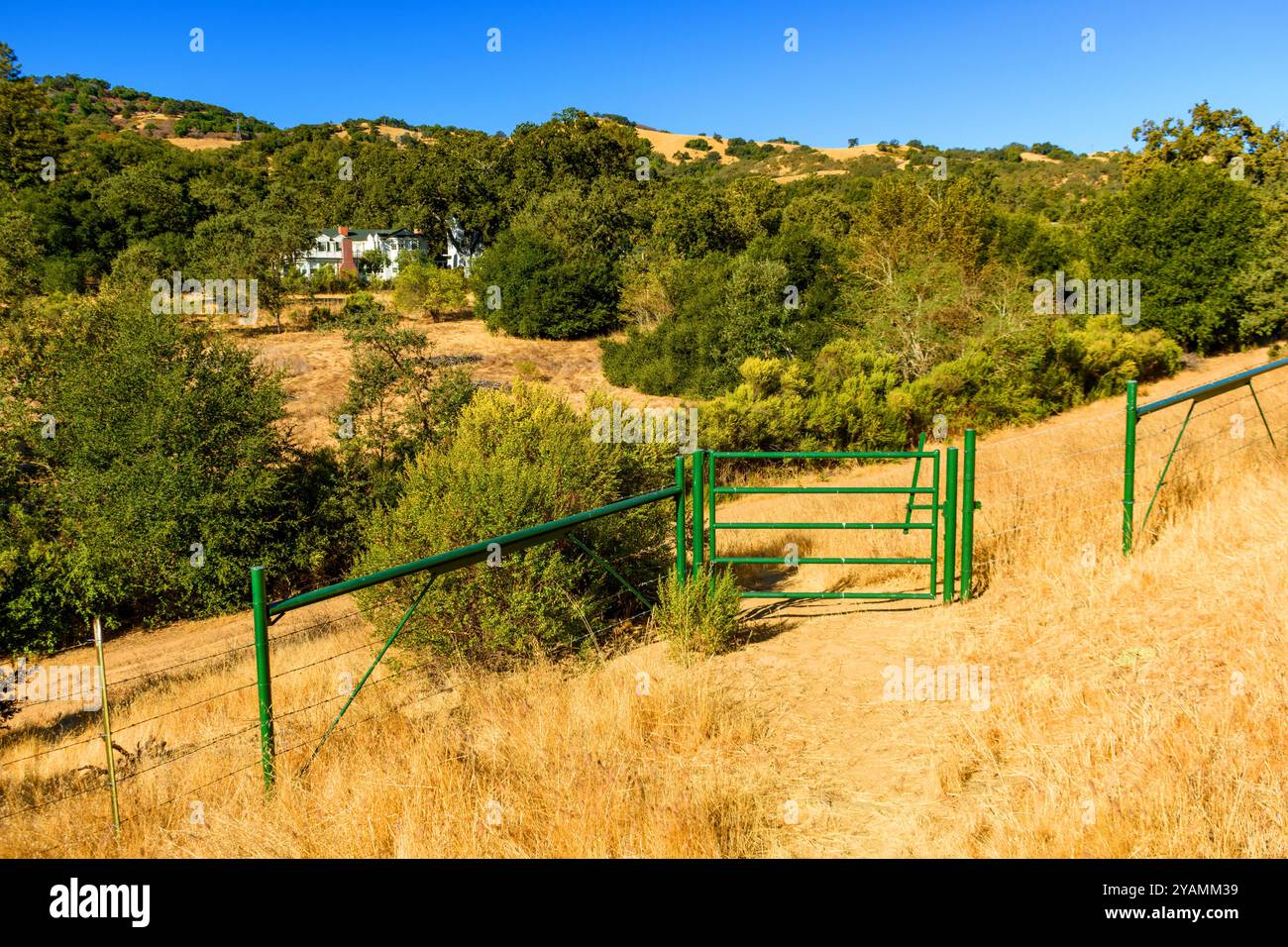 A green metal gate along a wire fence opens to a grassy hillside, with ...