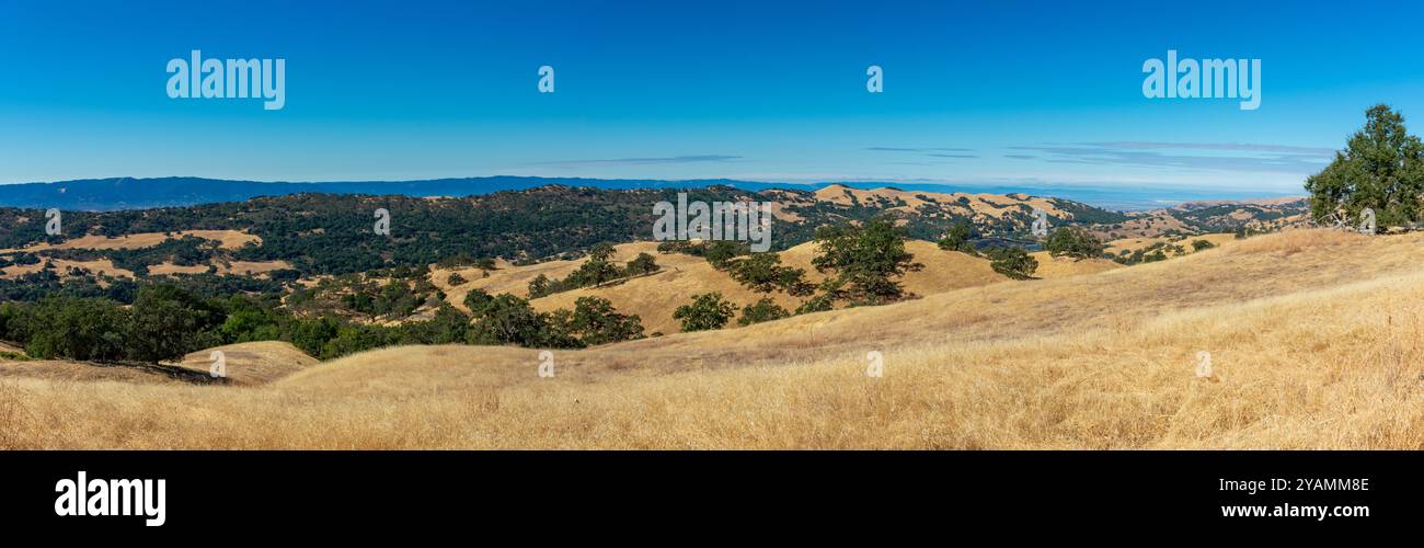 A panoramic view of the rolling hills and valleys of Joseph D. Grant County Park blending golden ...