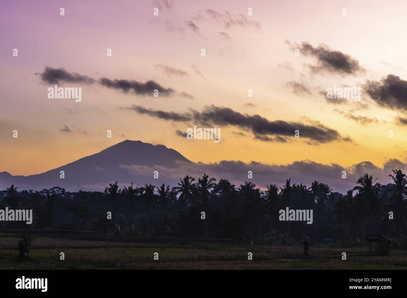 Amazing sunrise view on a jungle and volcano in Ubud, Bali, Indonesia ...