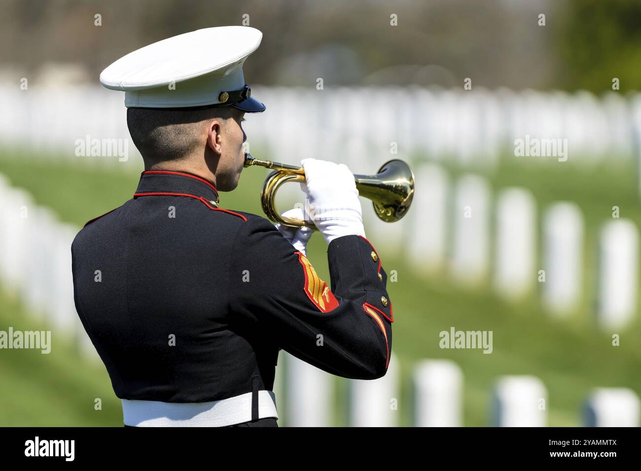 A poignant moment unfolds as a Marine plays taps, honoring a fallen ...