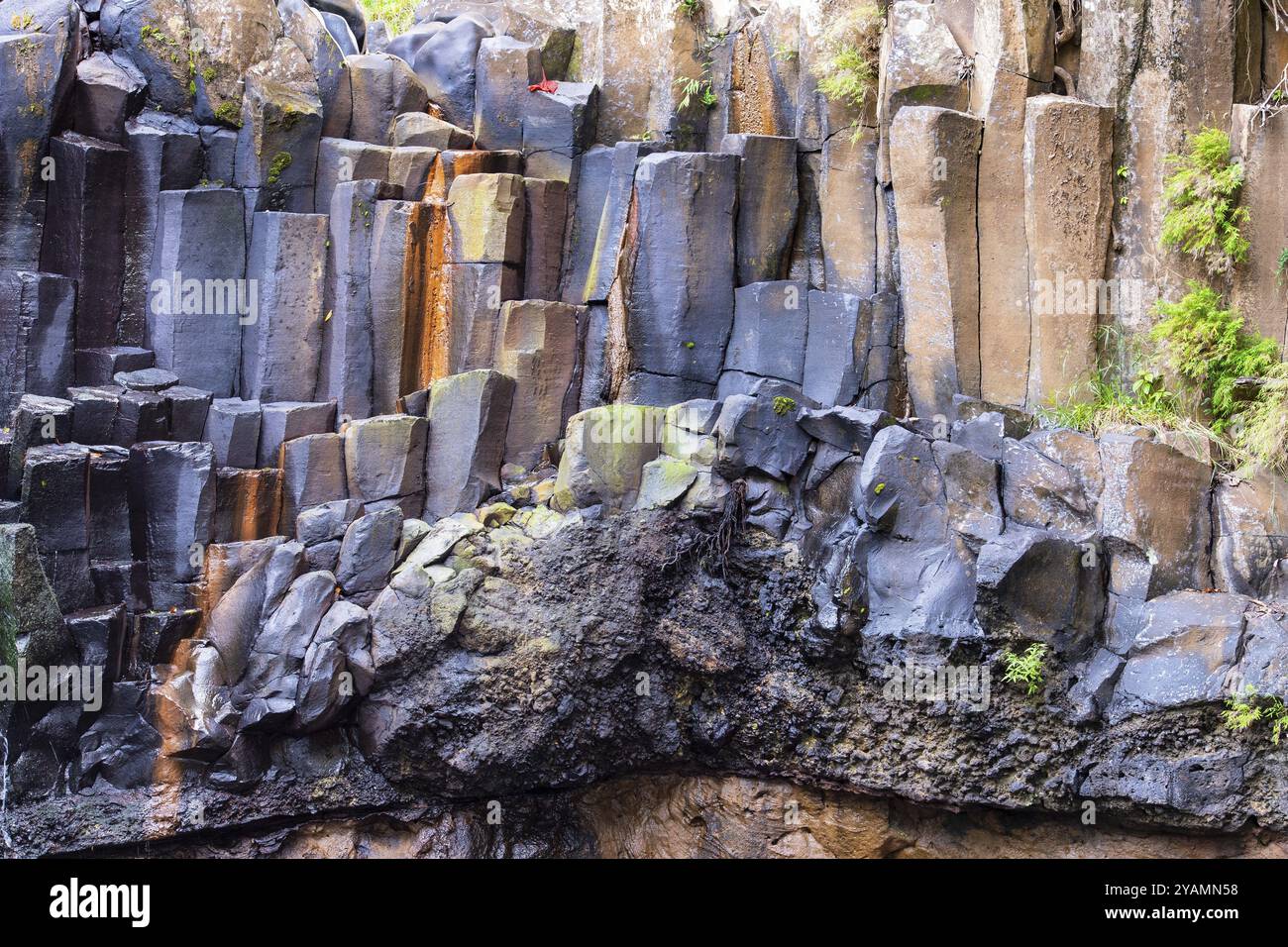 Basalt rock, columns, Rochester Fall, waterfall, Indian Ocean, island ...