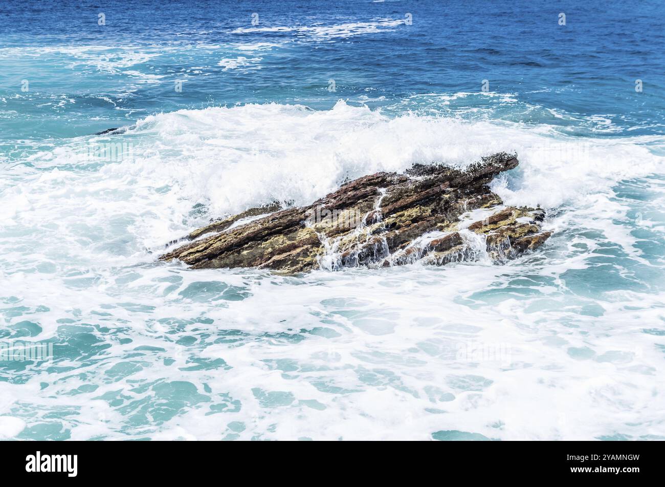 Front facing view hi-res stock photography and images - Alamy