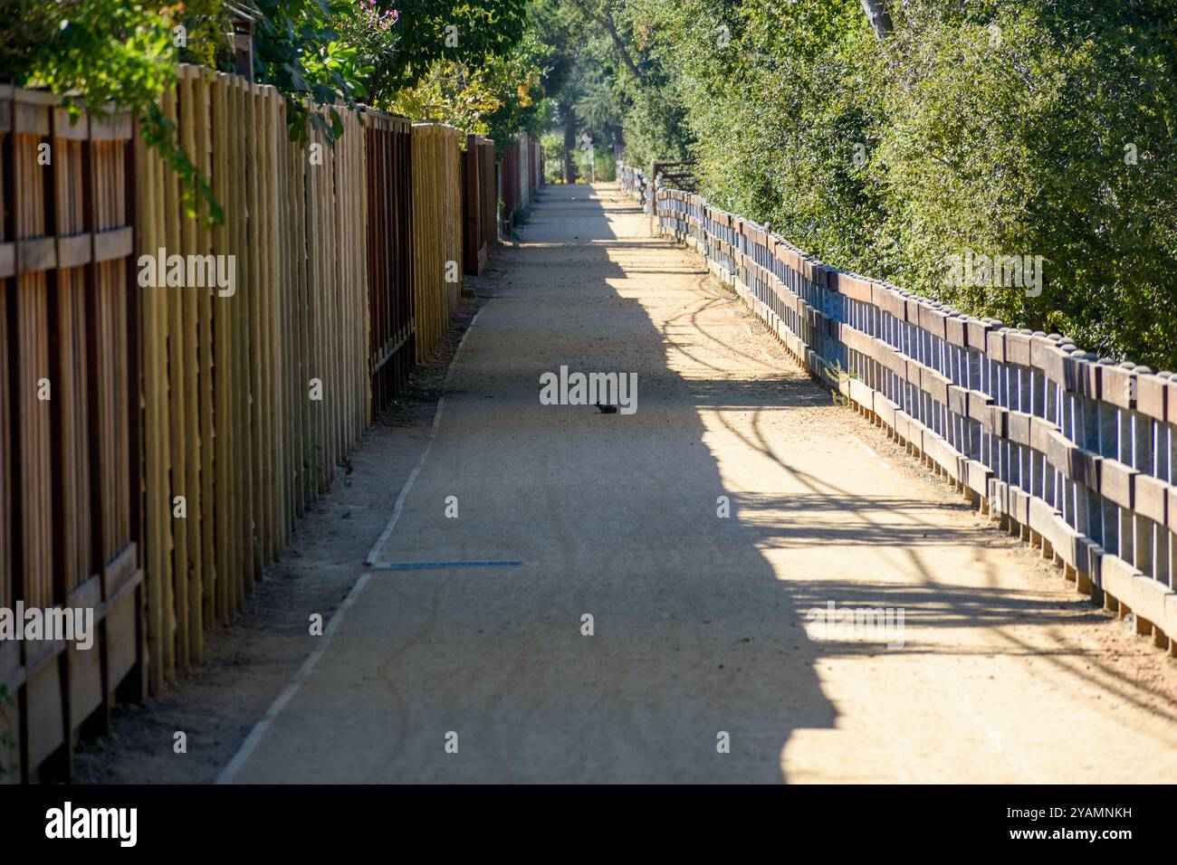 A shaded dirt pathway with parallel wooden fences stretches into the ...