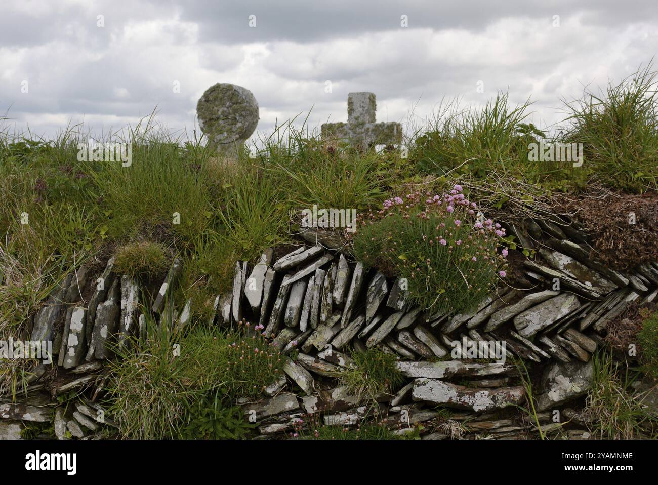 Art historian hi-res stock photography and images - Alamy