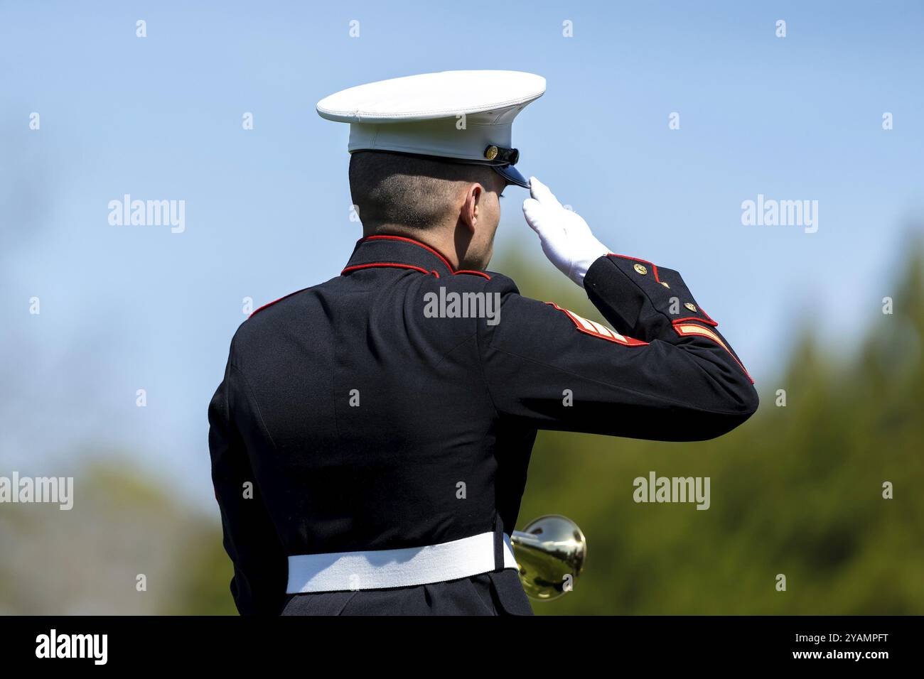 A poignant moment unfolds as a Marine plays taps, honoring a fallen veteran with a solemn salute ...