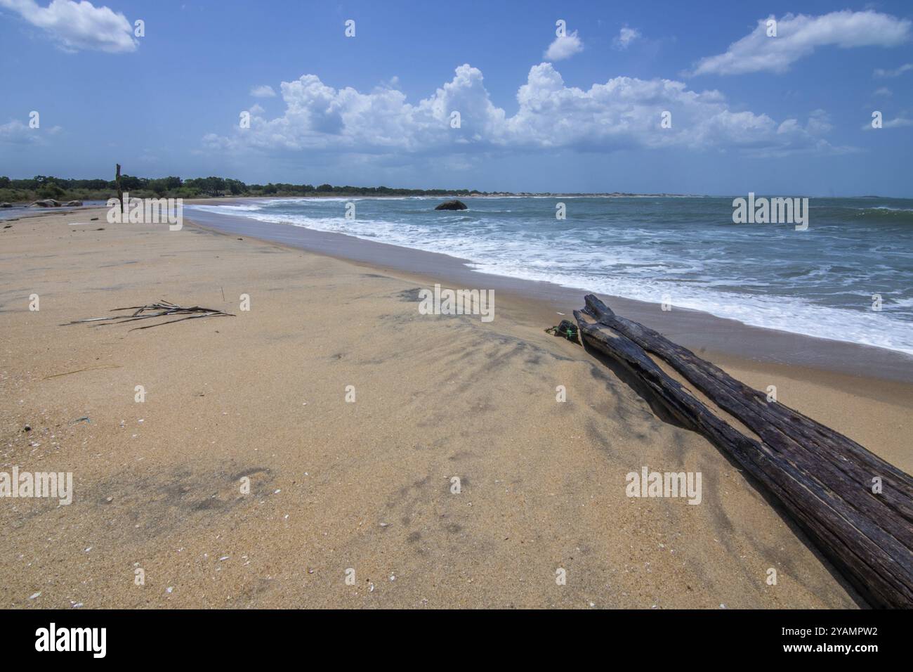 Yala national park beach hi-res stock photography and images - Alamy