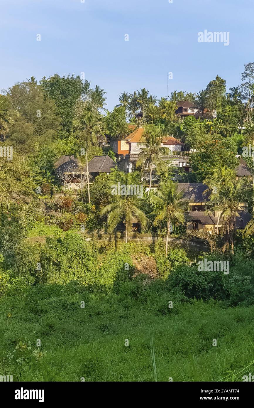 Sunset view on jungle and villas from Campuhan Ridge Walk at Ubud, Bali ...