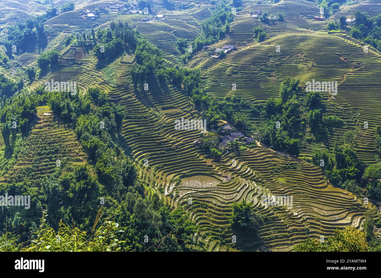 Amazing view on rice terrace in Sapa village, Vietnam, Asia Stock Photo ...
