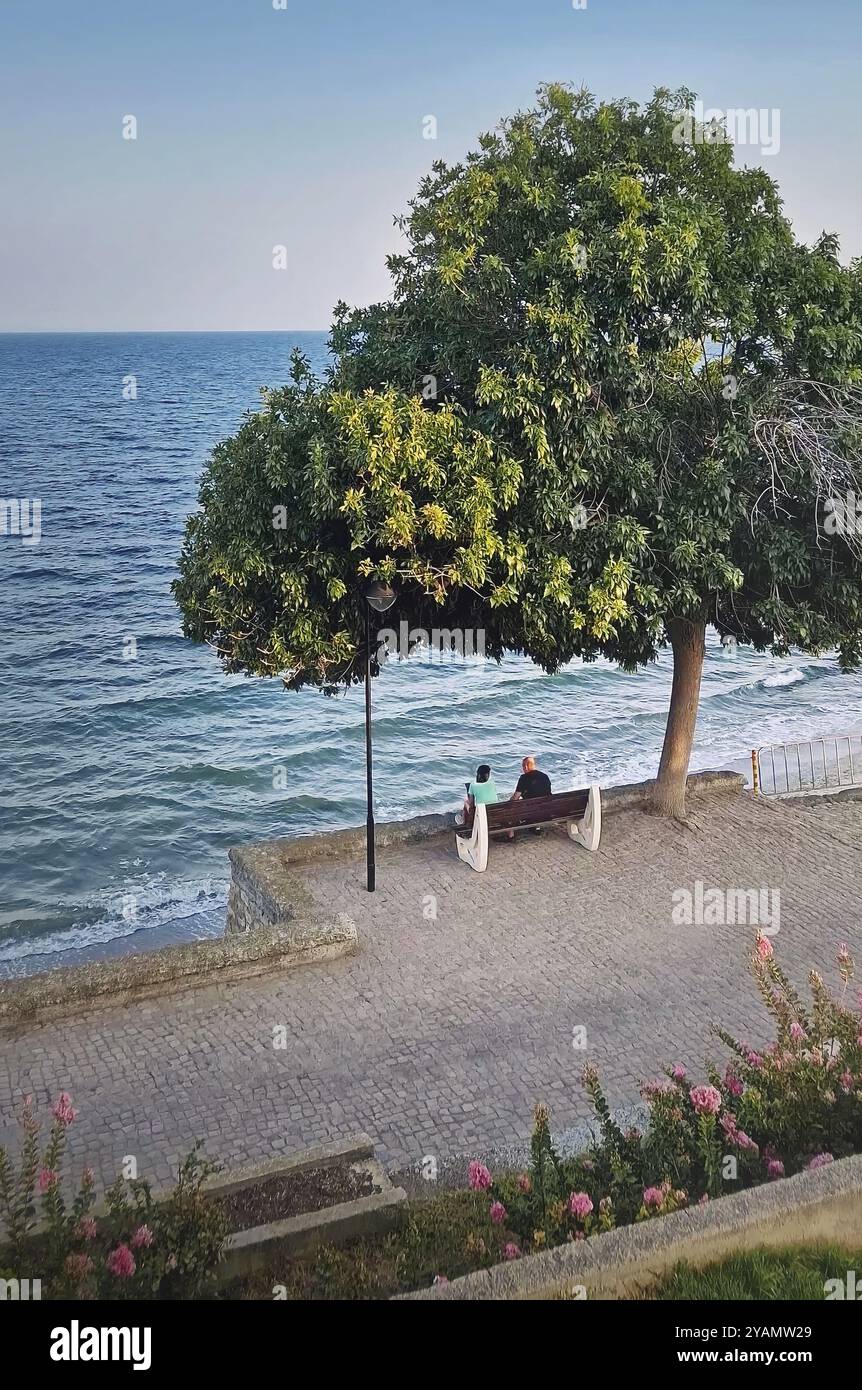 Couple sitting on a bench under a green tree with a view to the sea ...