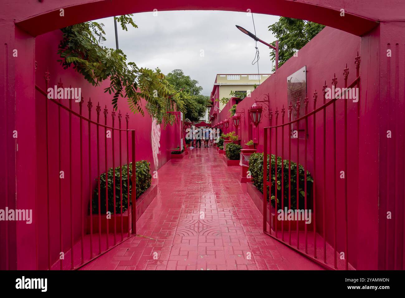 The Paseo de Dona Blanca, Puerto Plata's Pink Street, captivates with ...