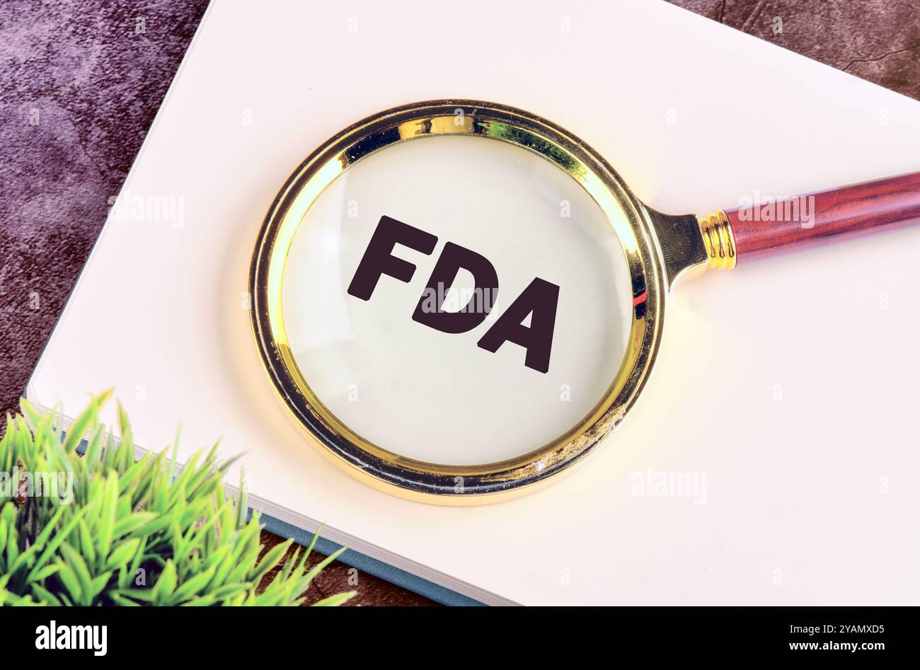 FDA, words on wooden blocks. Business concept,FDA written in a notebook ...