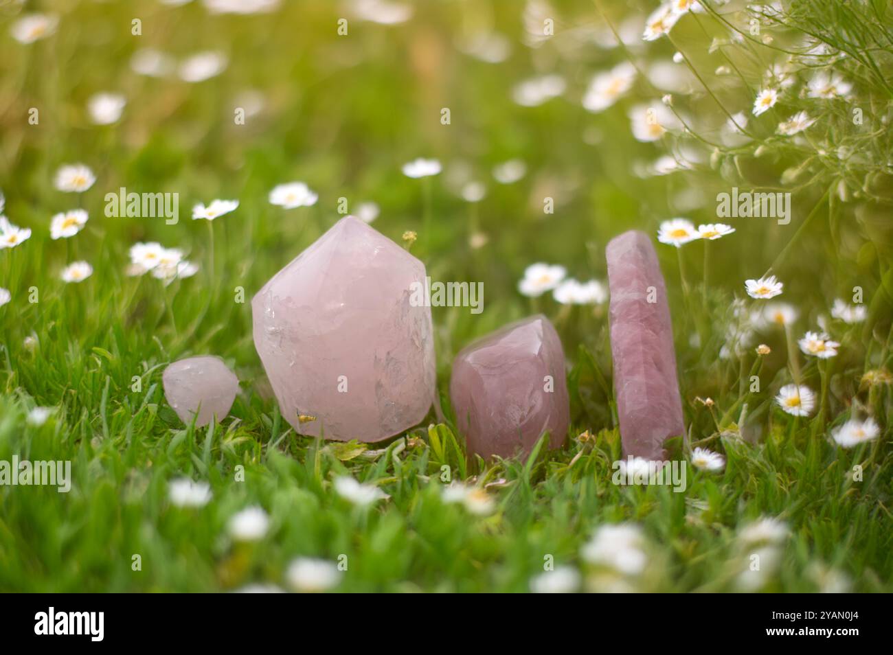 pink quartz in front of nature background Stock Photo - Alamy