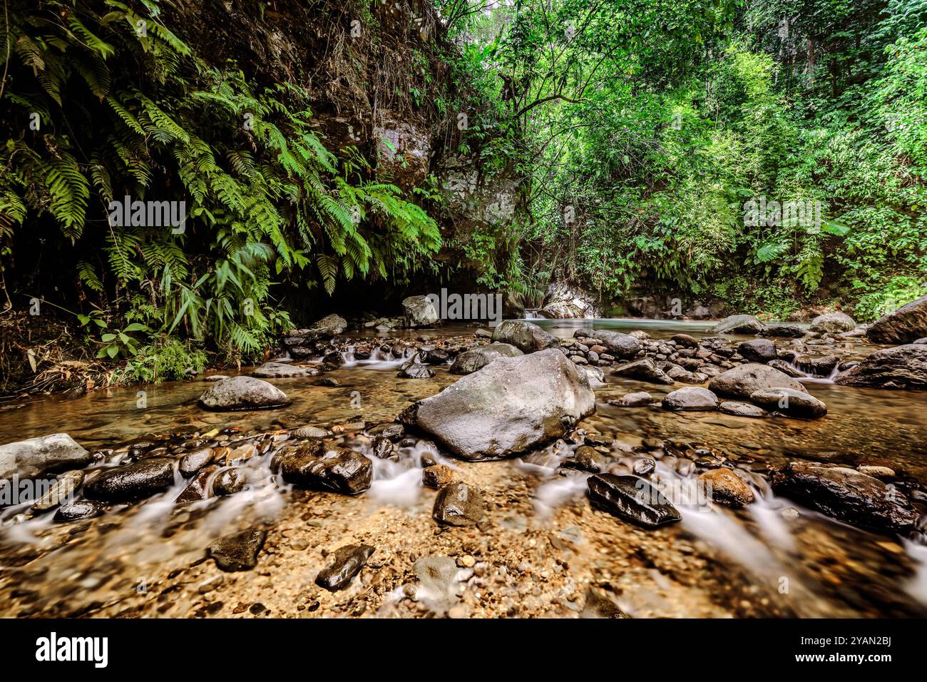 Refreshing Mountain Source. Pure Water Flow in Serene Surroundings ...