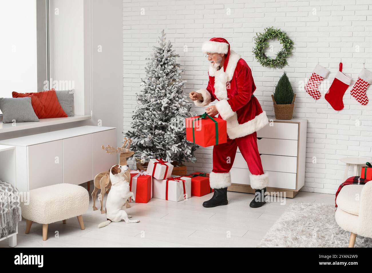 Santa Claus with cute Jack Russell Terrier dog and gift boxes ...
