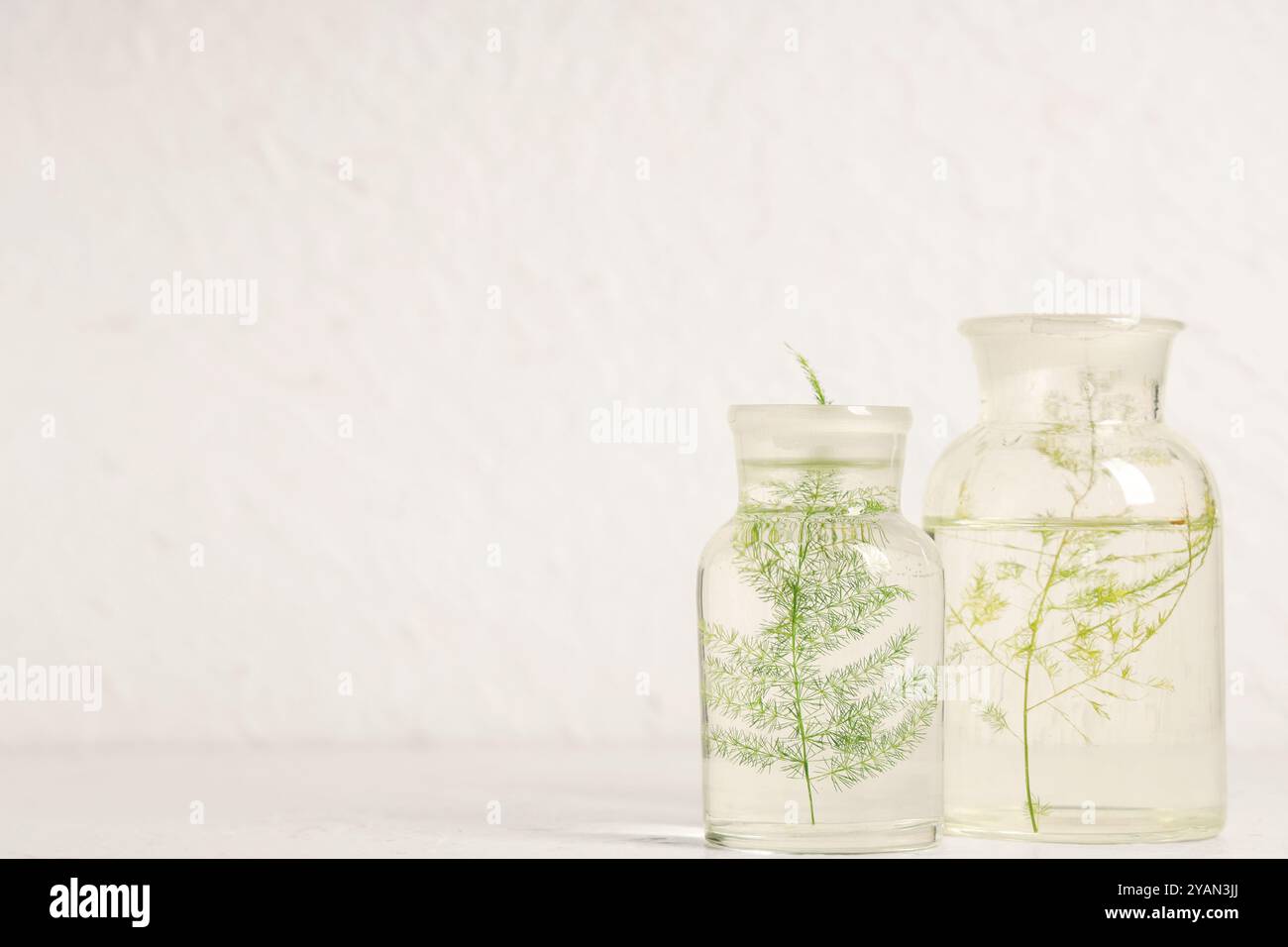 Laboratory glassware with plants on grunge beige background Stock Photo ...