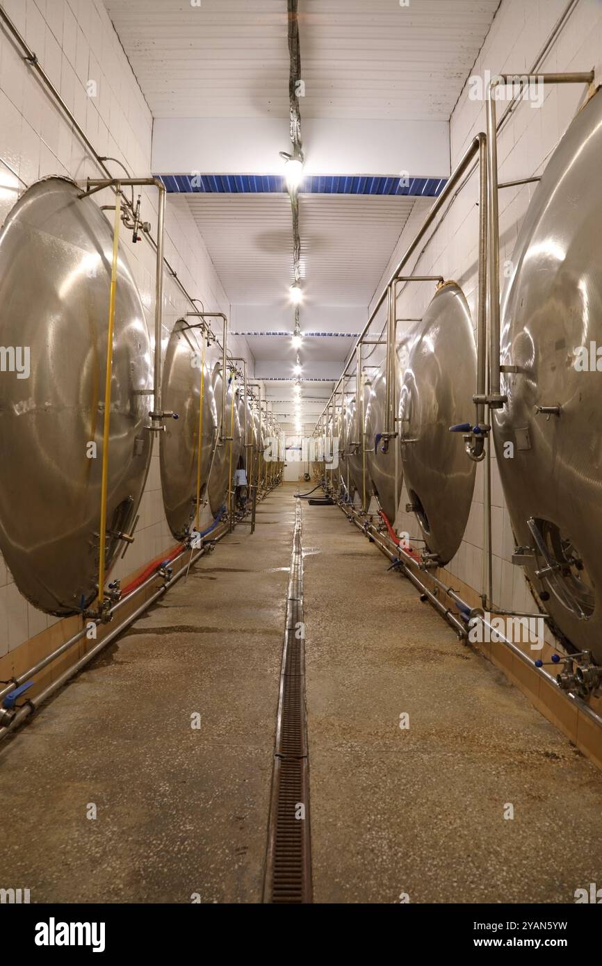 A hall with large metal tanks for fermenting beer in a beer factory ...