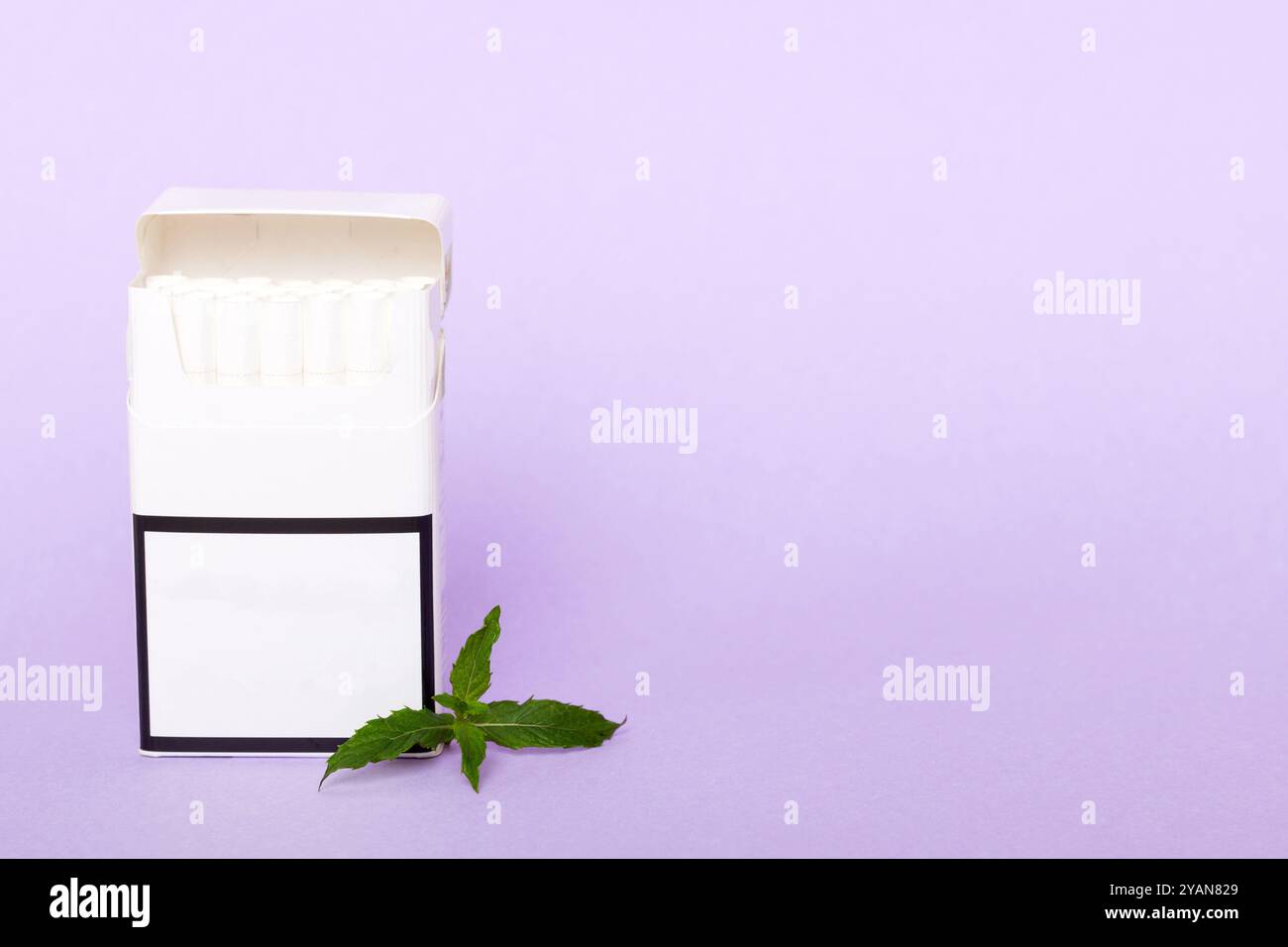 Pack of menthol cigarettes and fresh mint on colored table, Menthol ...