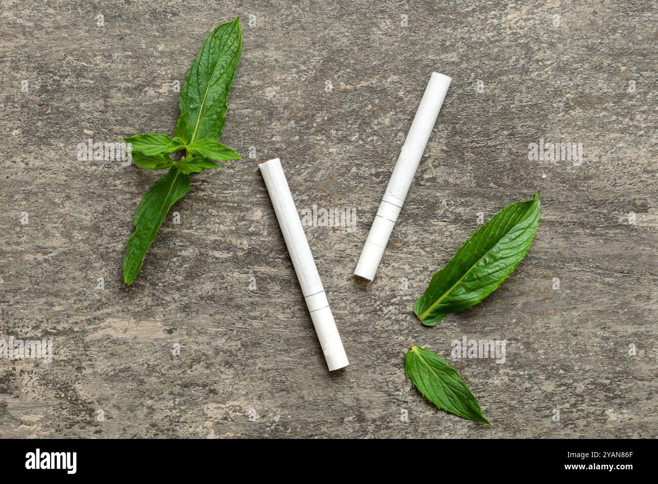 Menthol cigarettes and fresh mint leaves on colored background, Many ...
