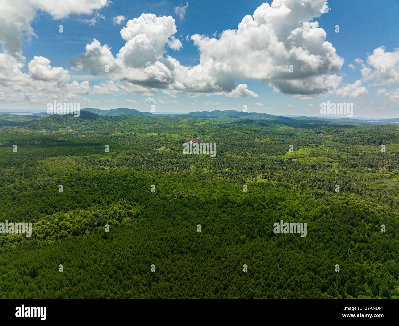 Top view of mountains with rainforest and jungle in the mountainous ...