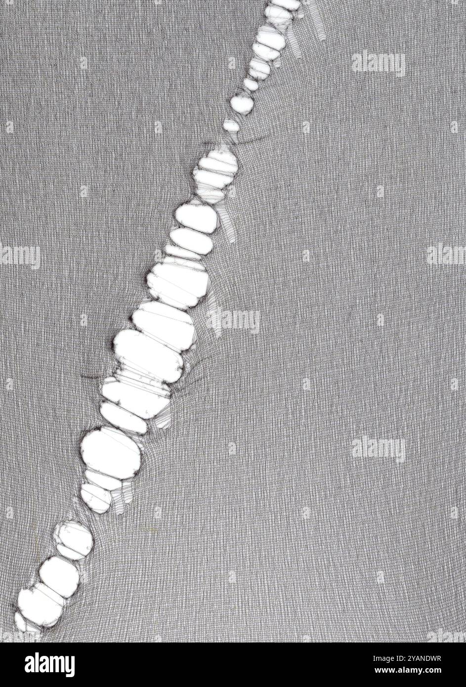 Black laddered nylon elasticated micro mesh fabric texture background ...