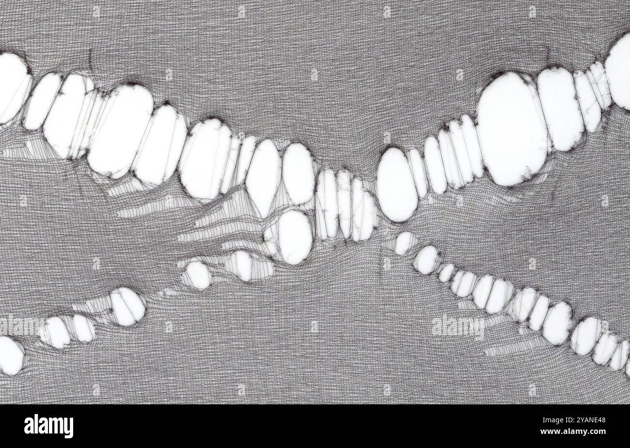 Black laddered nylon elasticated micro mesh fabric texture background ...