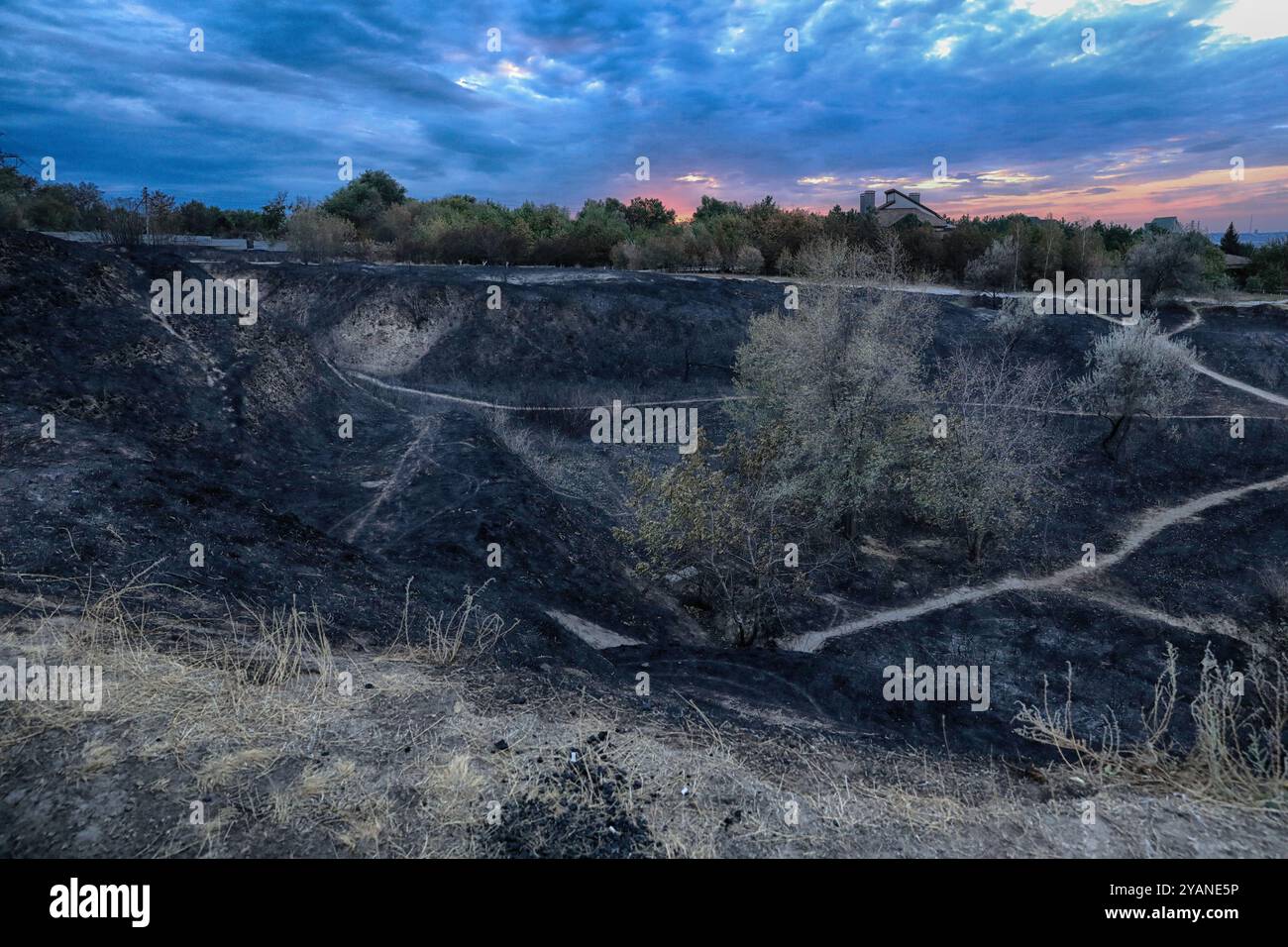 Landscape after the fire with burnt forest and ash Stock Photo - Alamy