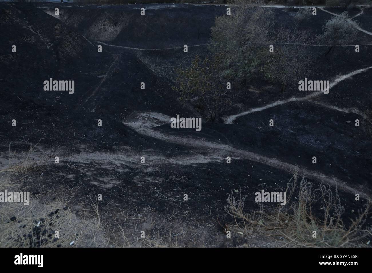 Landscape after the fire with burnt forest and ash Stock Photo - Alamy