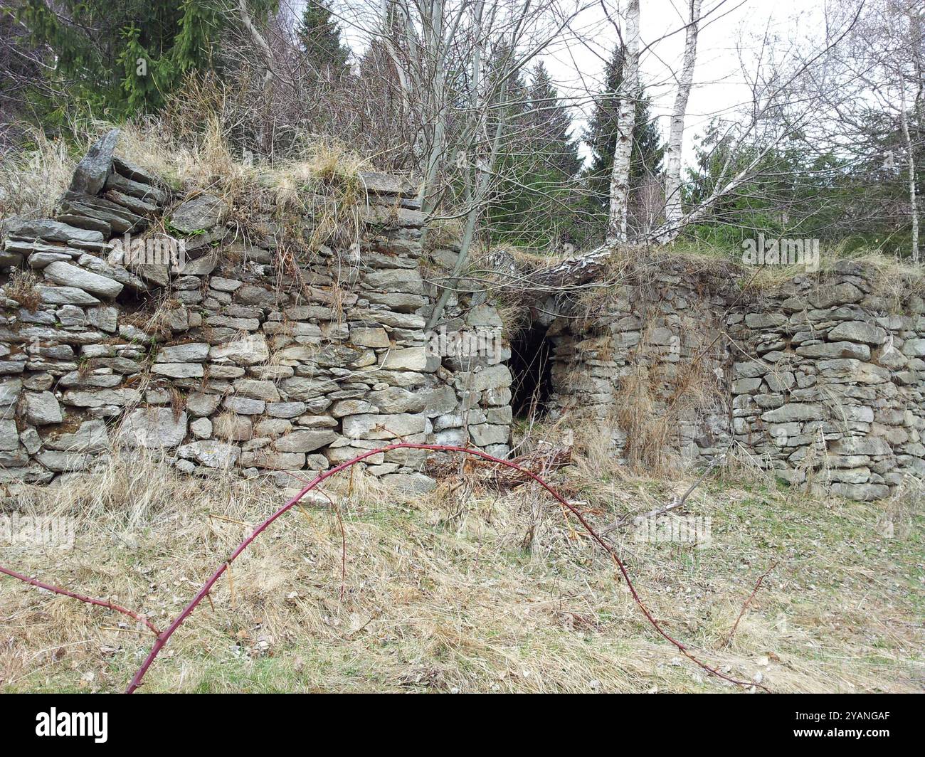 decay and structural damage in building, abandoned house in rural area ...