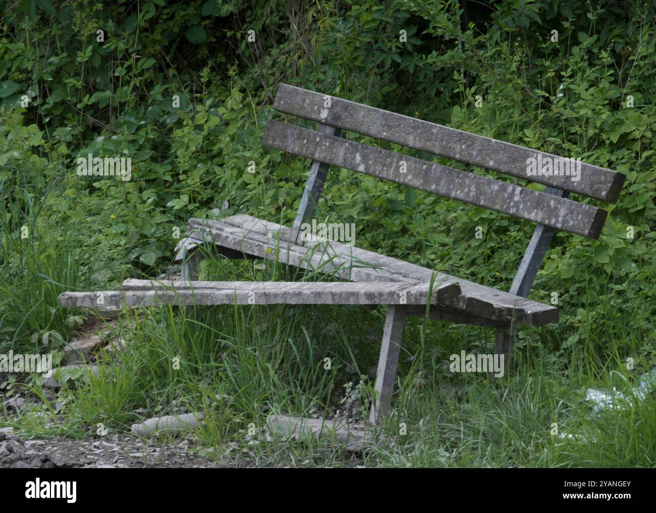 decay and structural damage in building, abandoned house in rural area ...