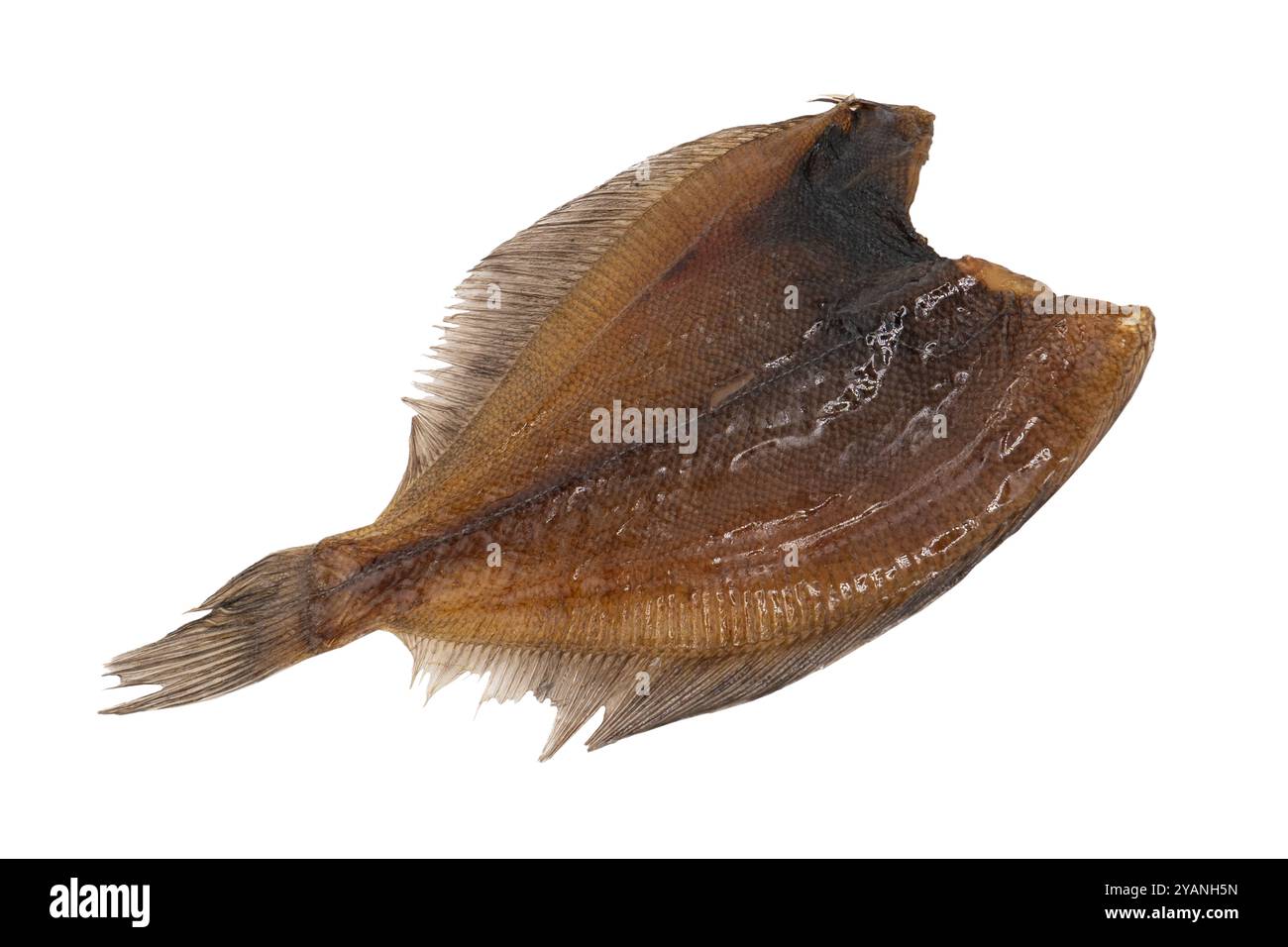 Raw whole flounder flatfish Cut Out Stock Images & Pictures - Alamy