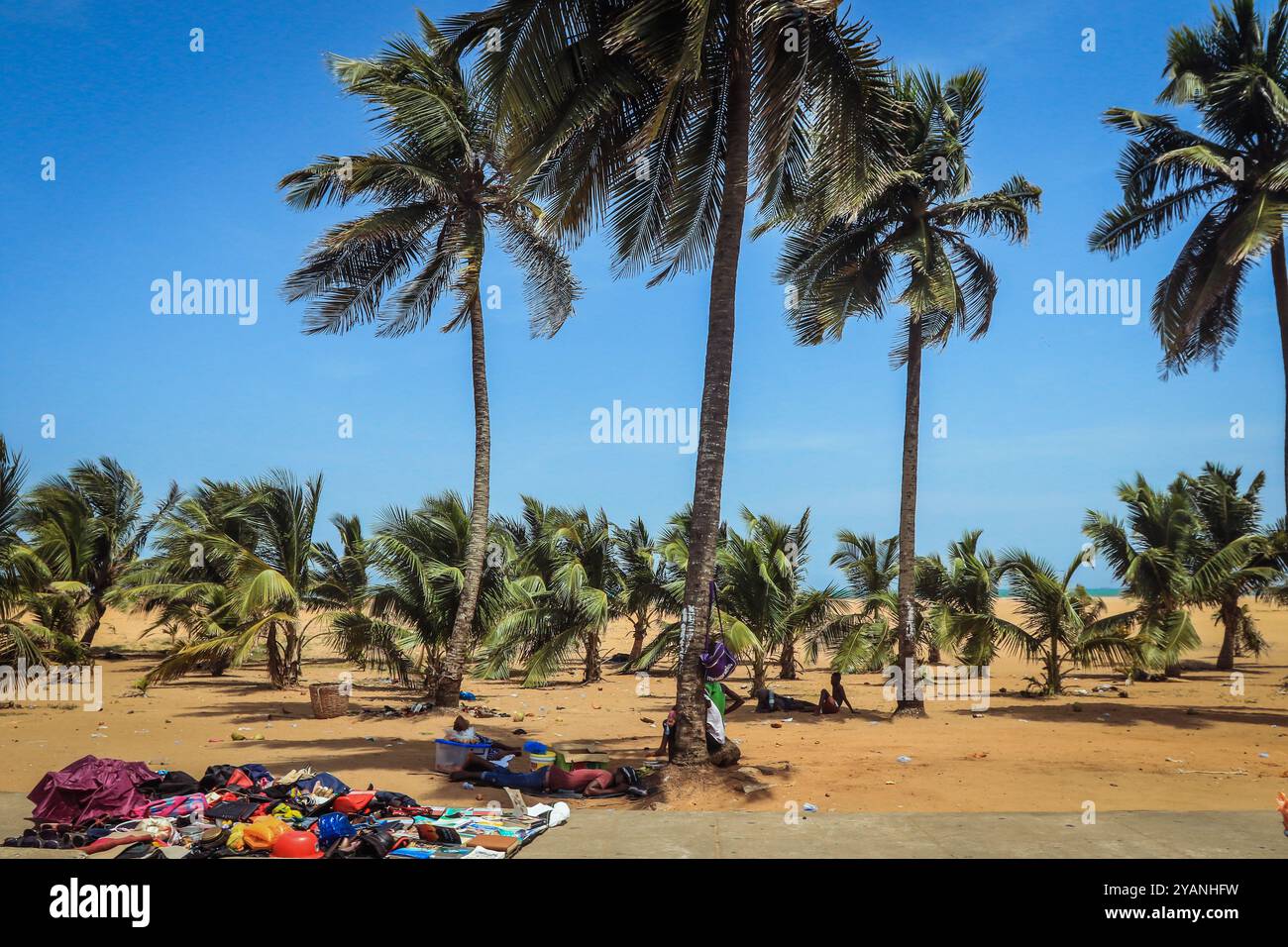 Ocean Seaside with the Palm Trees and Sandy Beach in Togo, West Africa ...