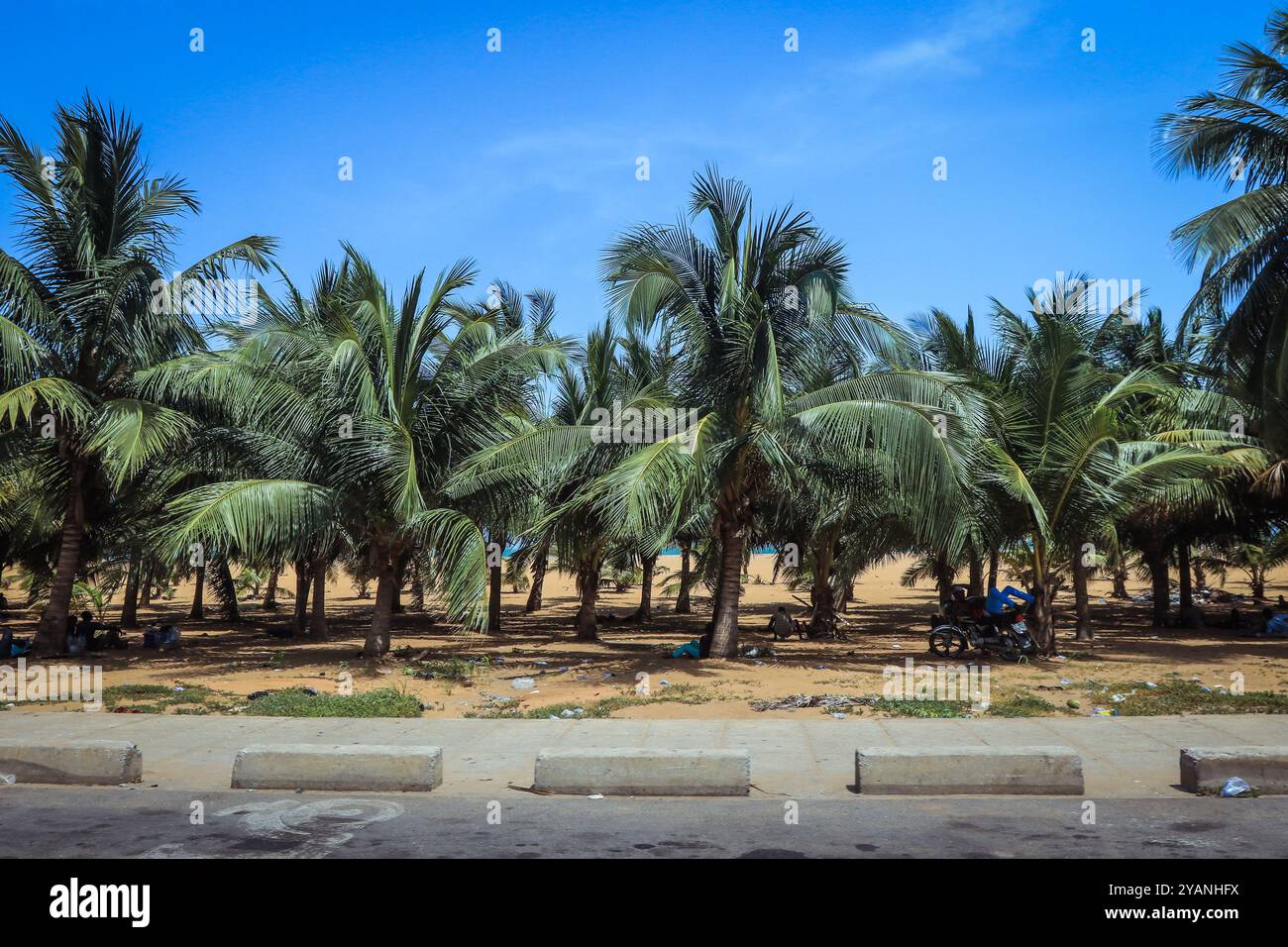 Ocean Seaside with the Palm Trees and Sandy Beach in Togo, West Africa ...