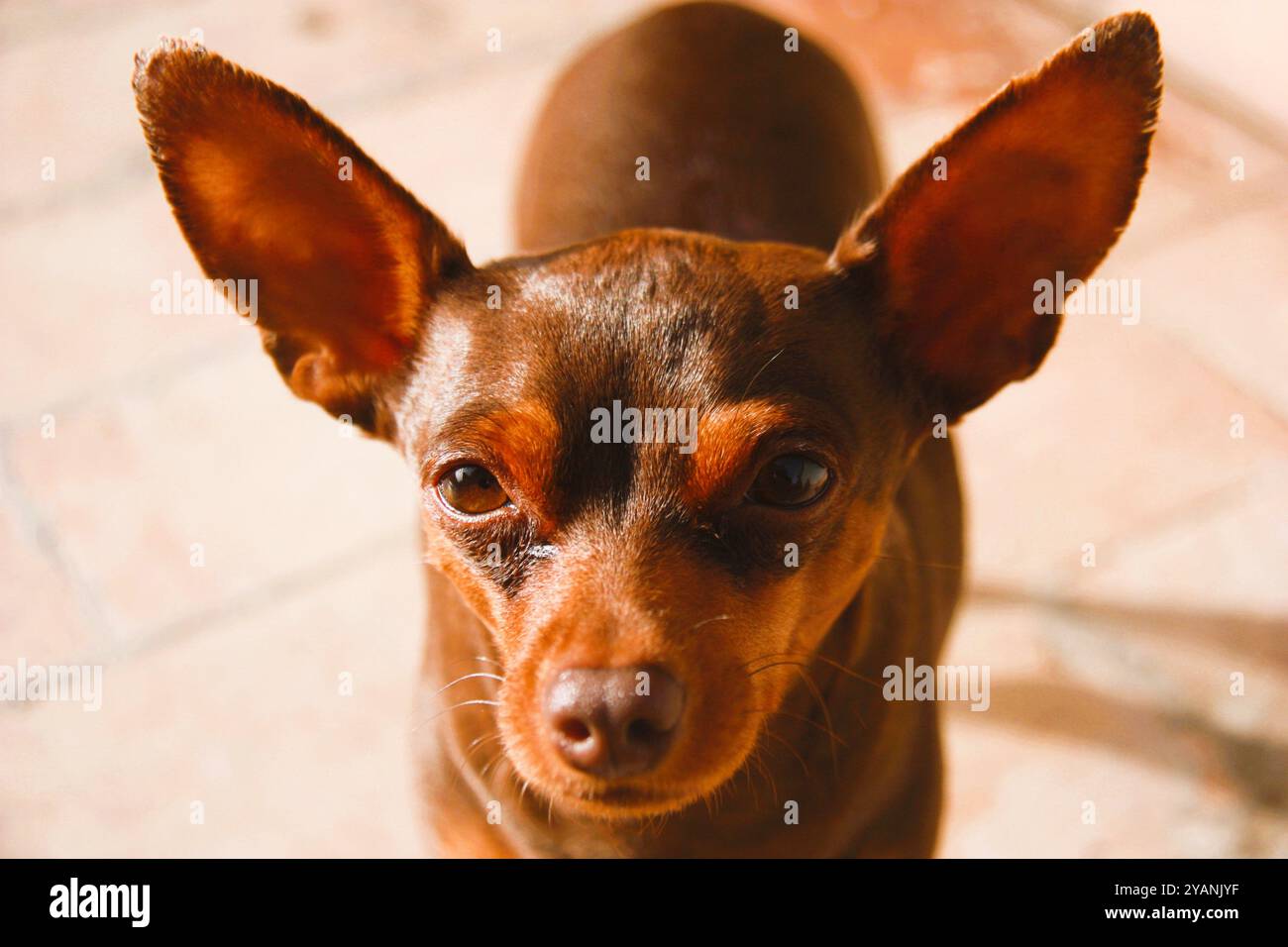 Notreason hi-res stock photography and images - Alamy