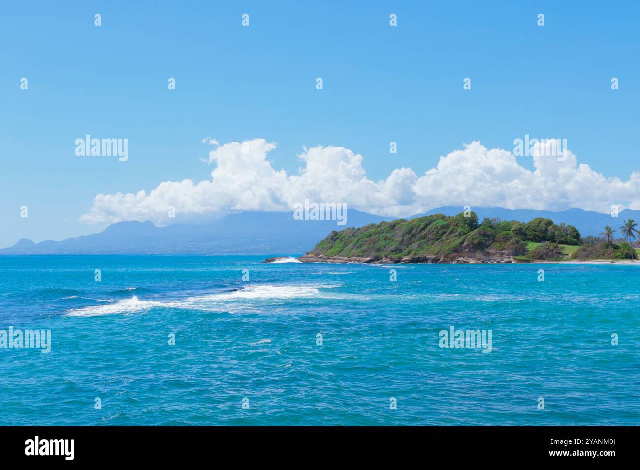 Natural Landscape of the Guadeloupe, Caribbean islands Stock Photo - Alamy
