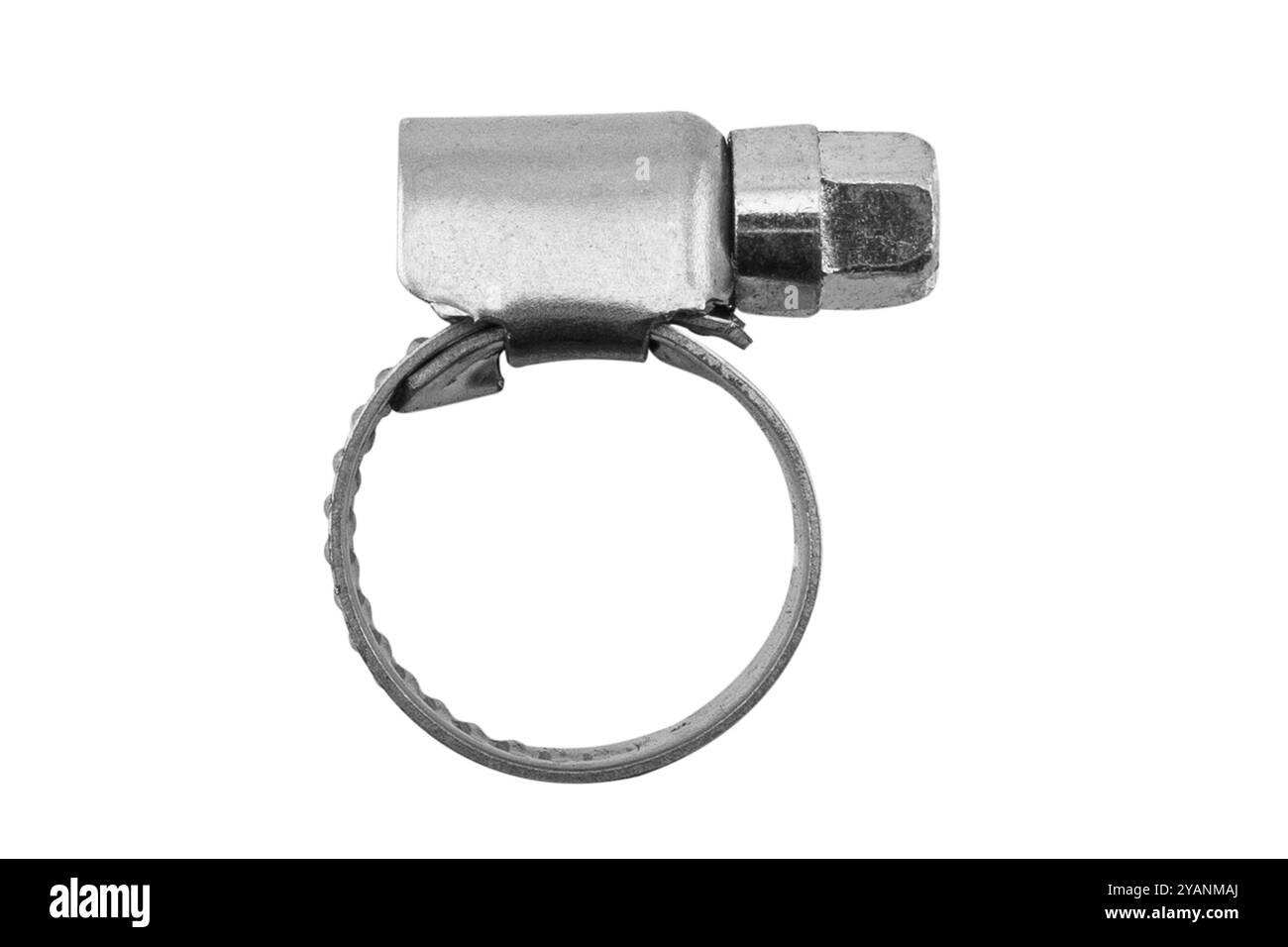 Metal clamp for hose connection isolated on white background. Macro ...